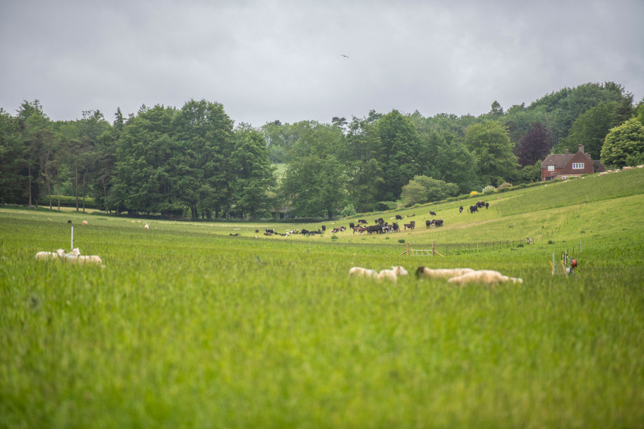 Our Ethos | Kingsclere Estates